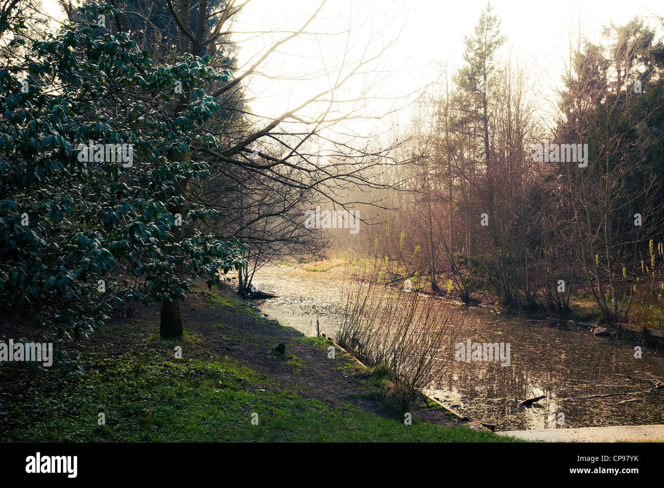 A long, thin ornamental water feature. A kind of pond, part of Cammo ...