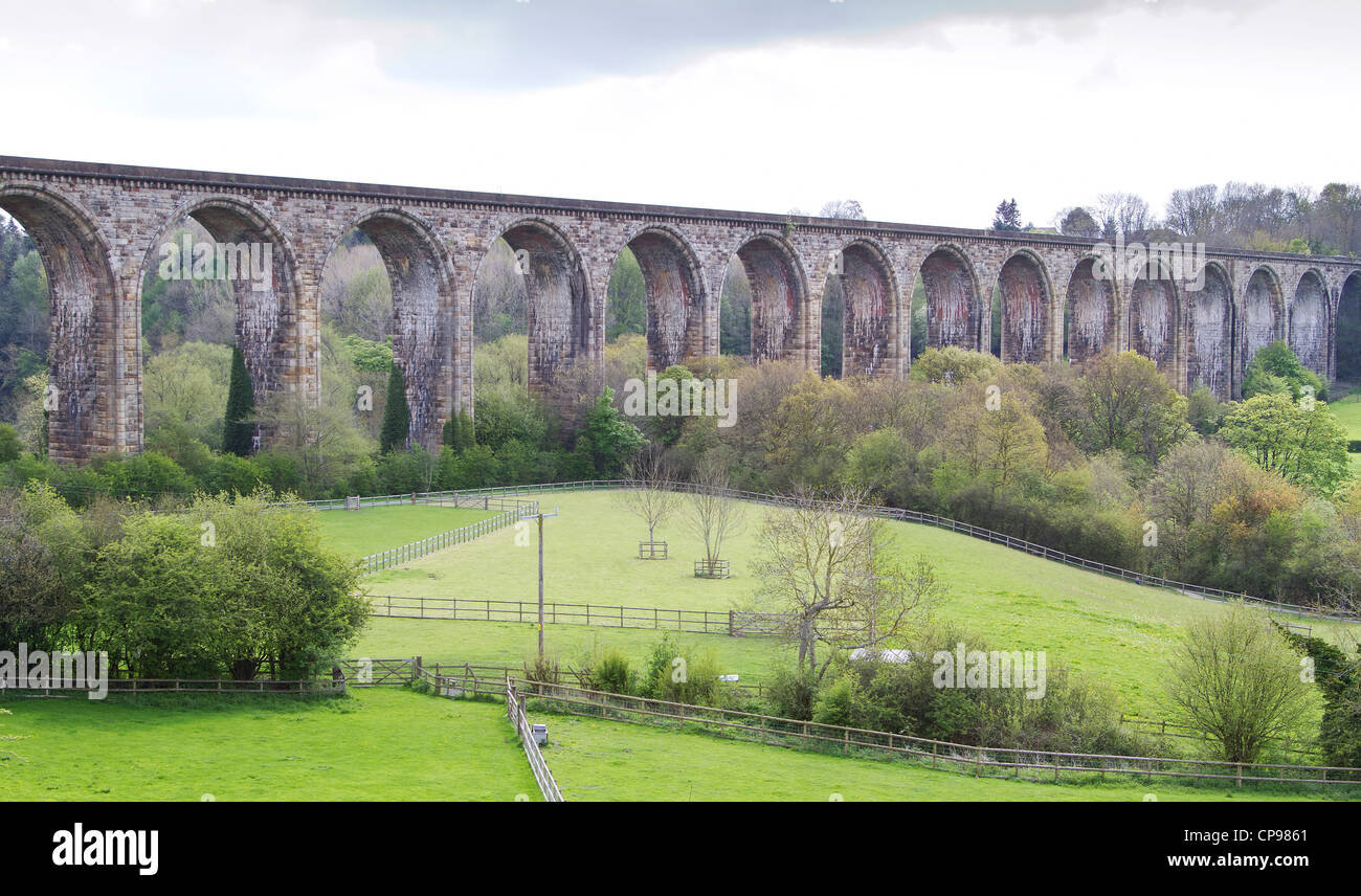 Cefn viaduct North Wales UK Stock Photo - Alamy