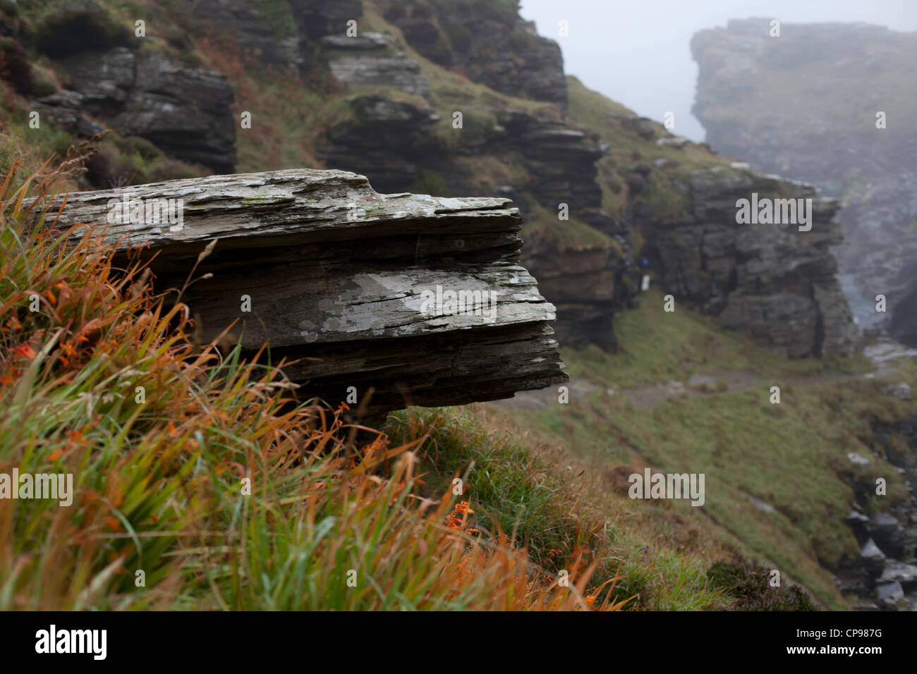 Cornish coastal hillside hi-res stock photography and images - Alamy