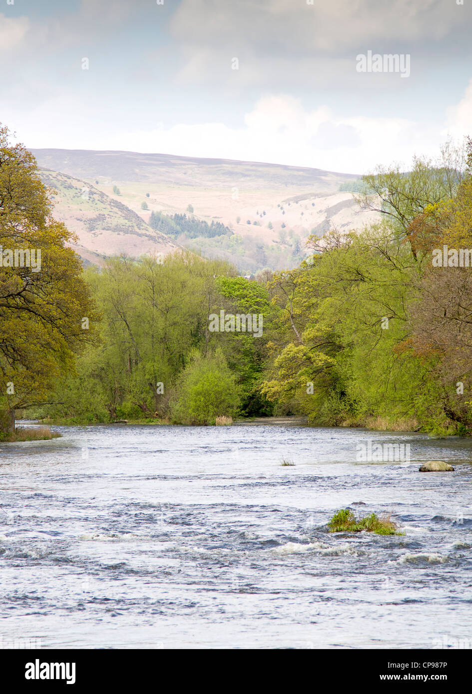 River Dee at Llangollen North Wales Stock Photo - Alamy