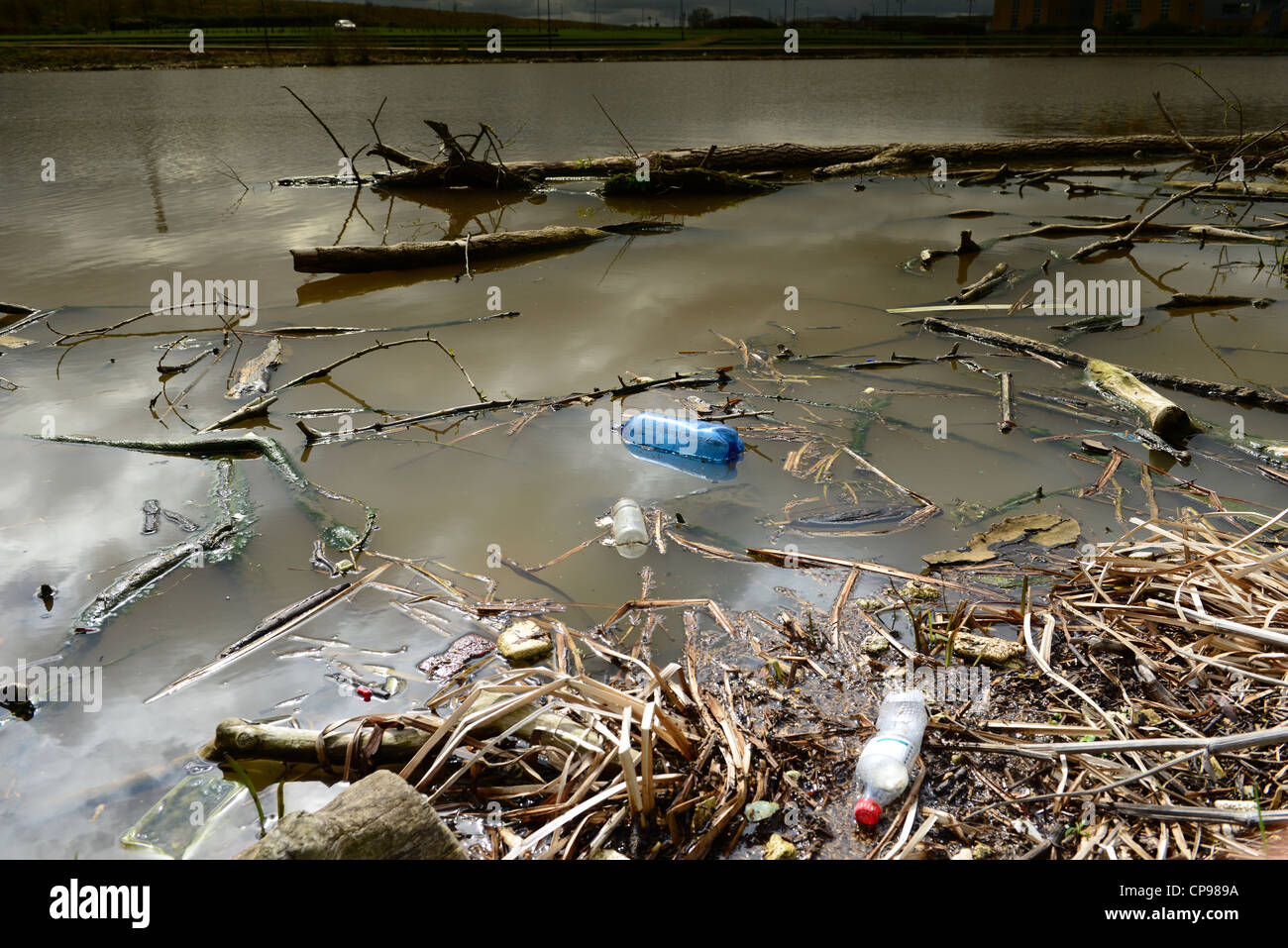 Microplastics and fish hi-res stock photography and images - Alamy