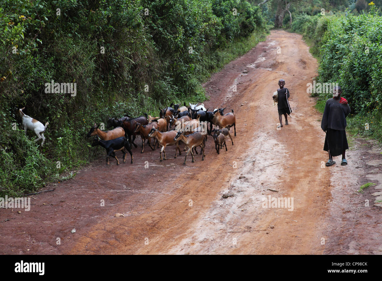 Agriculture Work Rwanda High Resolution Stock Photography and Images ...