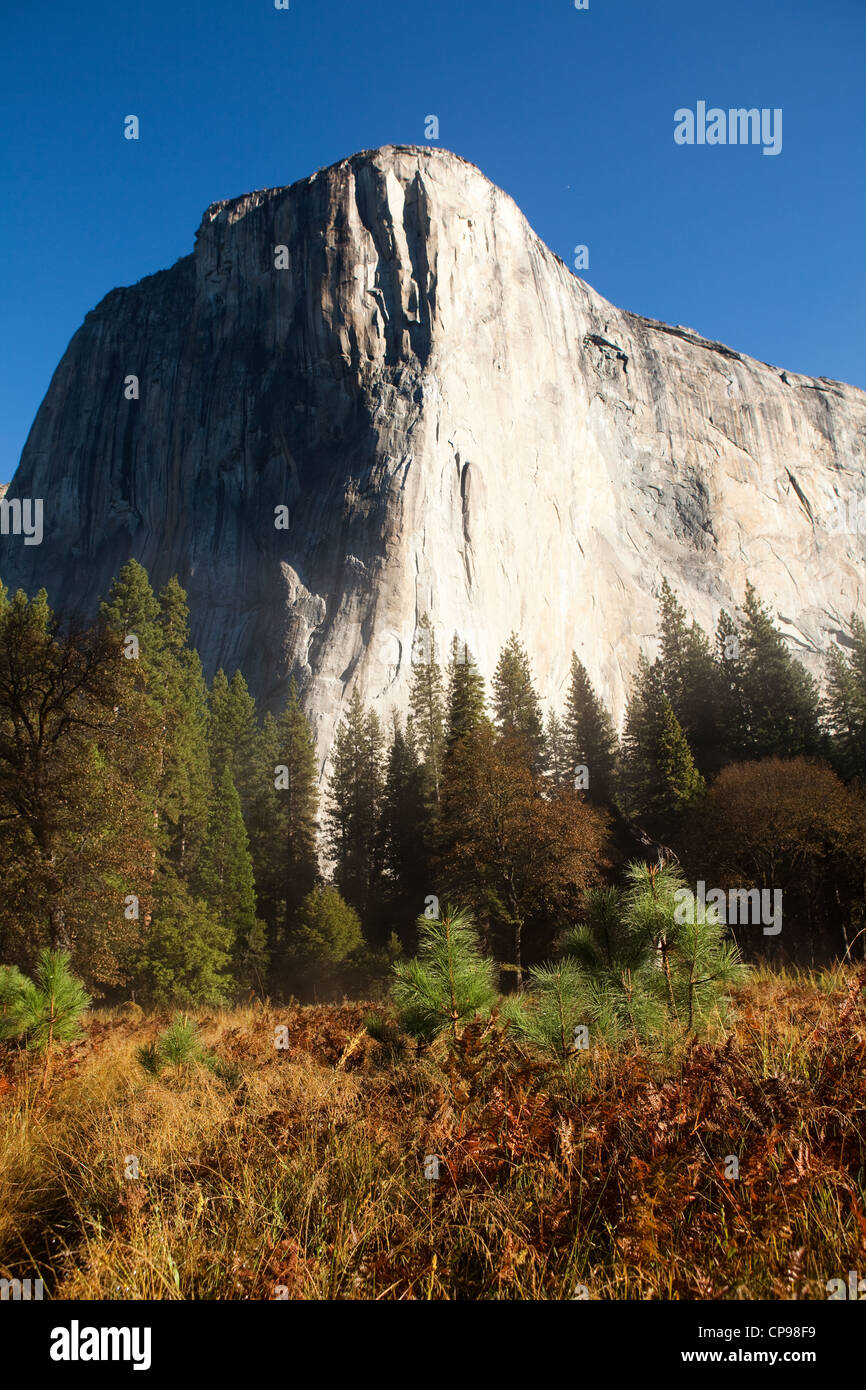 El Capitan, Yosemite National Park Stock Photo - Alamy