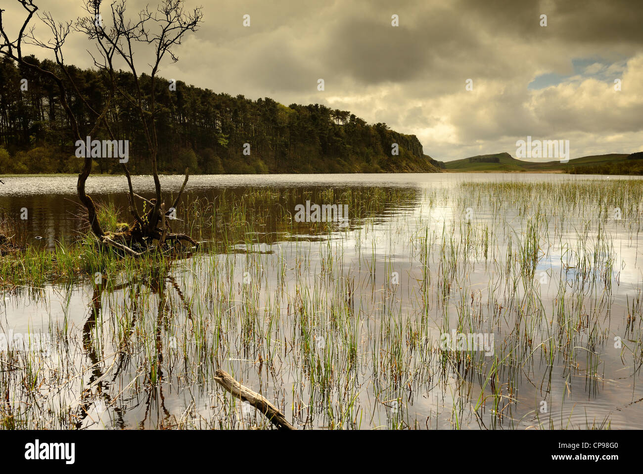 reflection on lake Stock Photo - Alamy