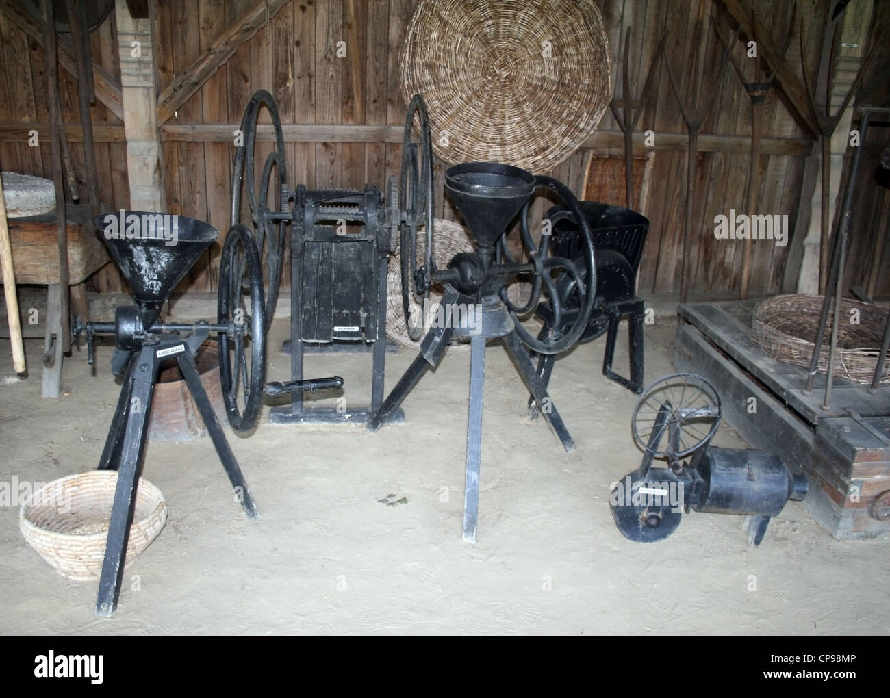 Corn forage hi-res stock photography and images - Alamy