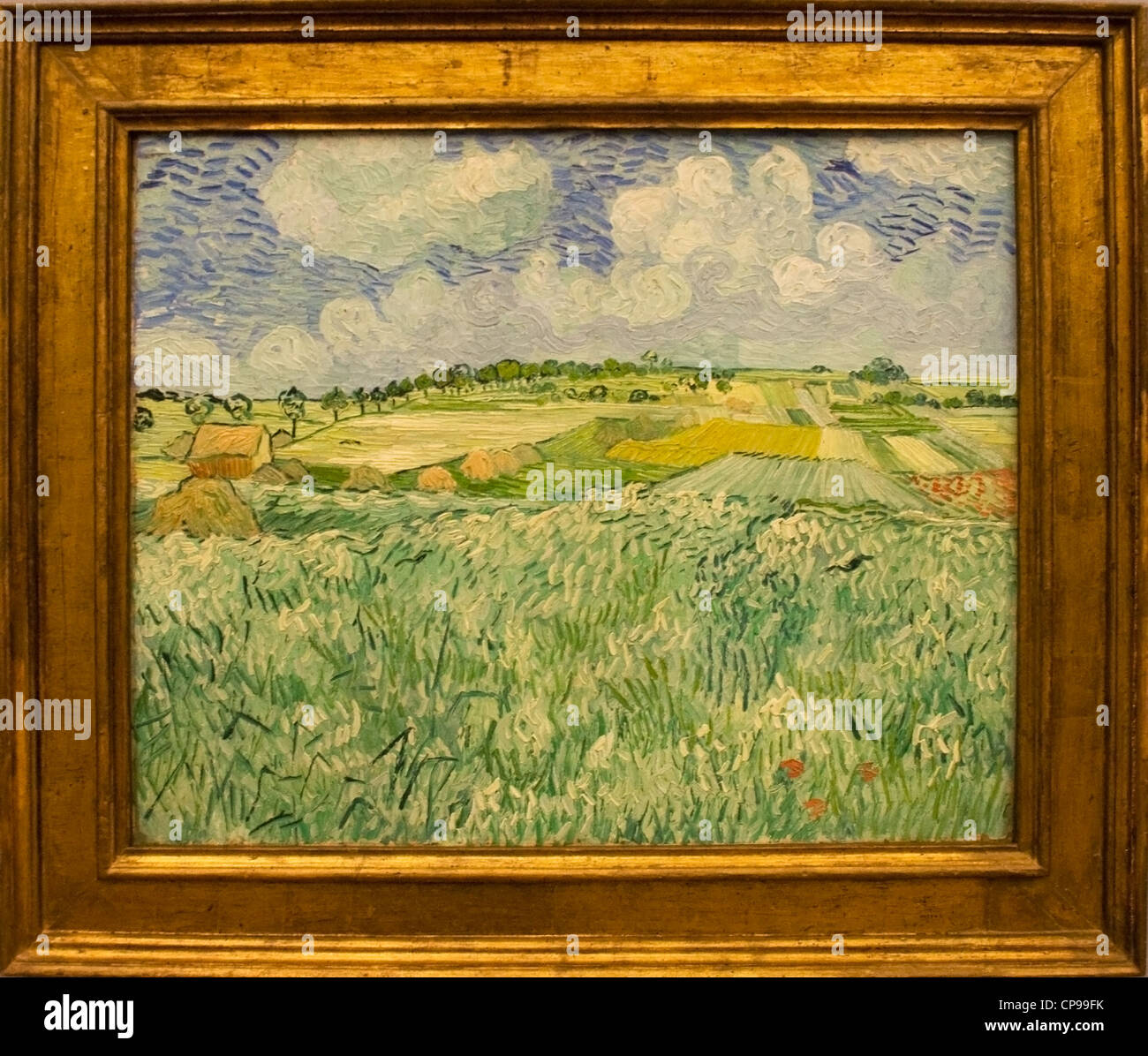 Vincent van Gogh Stock Photo - Alamy