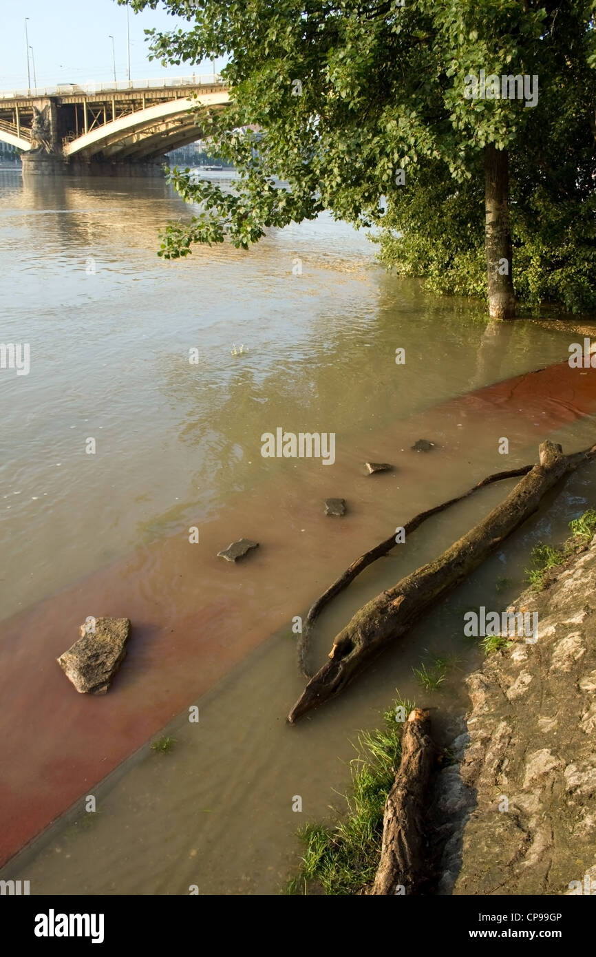 High water on the Danube in a summer morning Stock Photo - Alamy