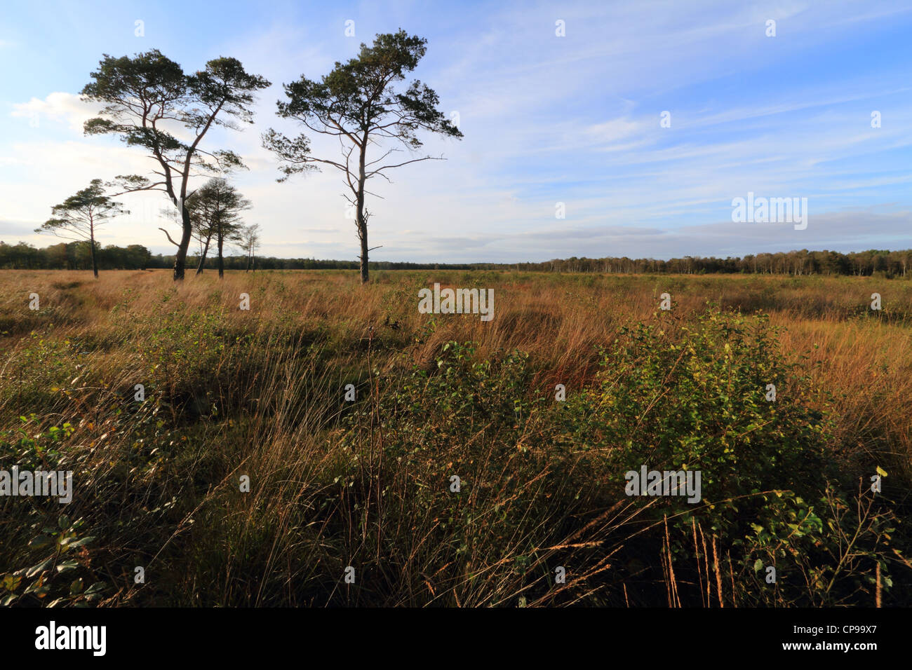 Groundwater drainage High Resolution Stock Photography and Images - Alamy