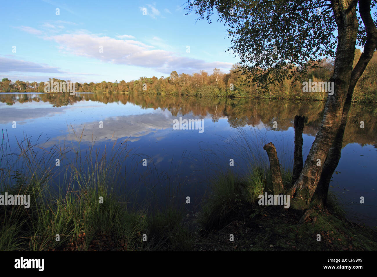 A lake formed by peat-cutting activities in Svanemosen - a raised bog ...