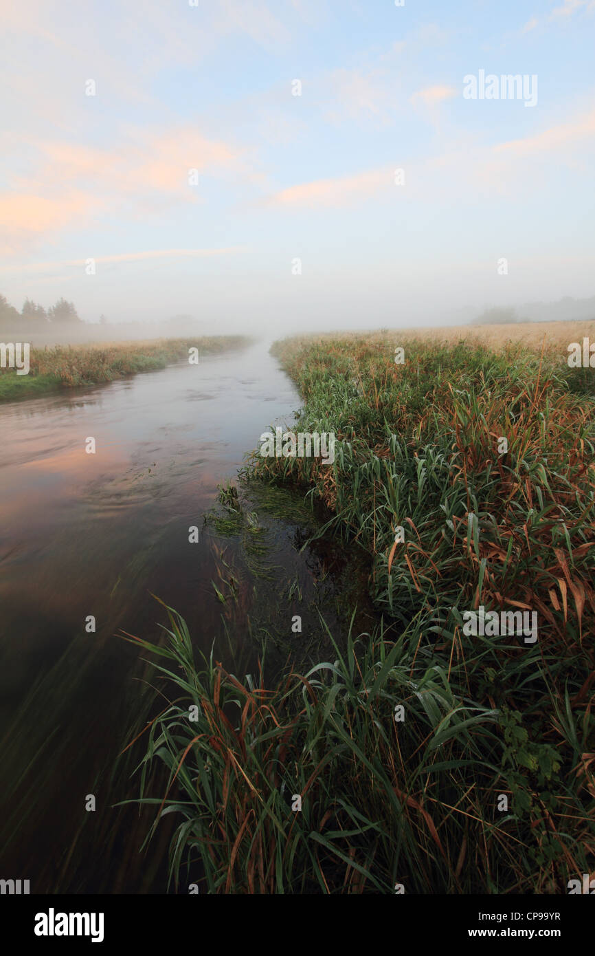 The stream called Grindsted Aa in Denmark Stock Photo - Alamy