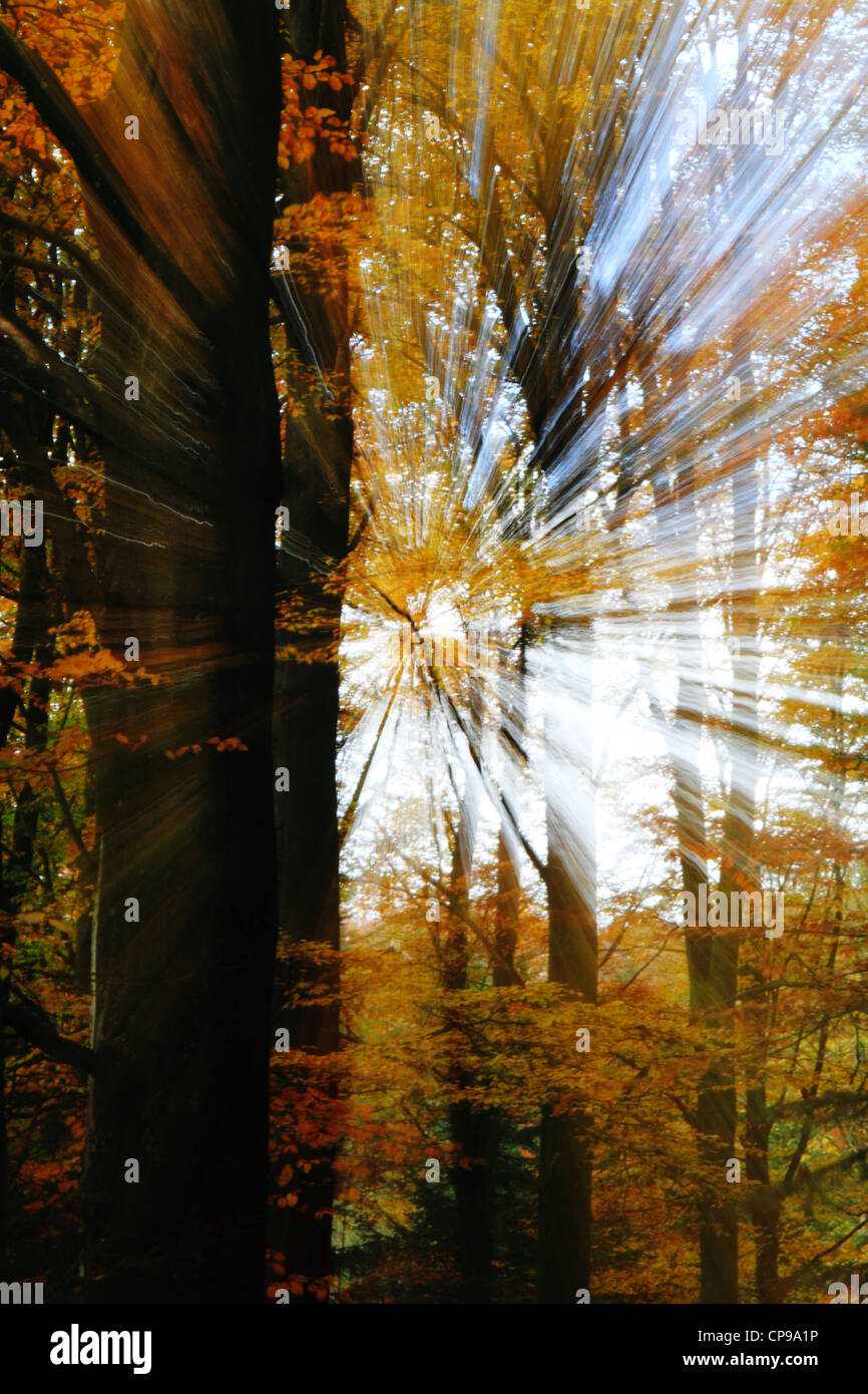 Zoom movement hi-res stock photography and images - Alamy