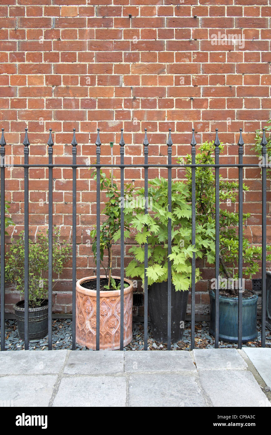 Plants in pots behind bars Stock Photo - Alamy