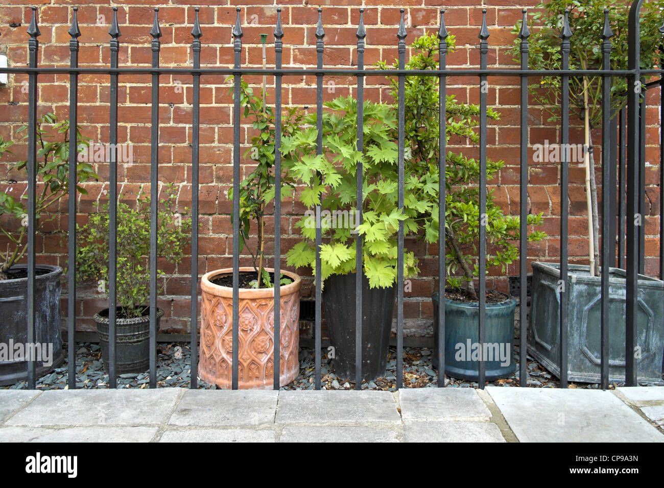 Plants in pots behind bars Stock Photo - Alamy
