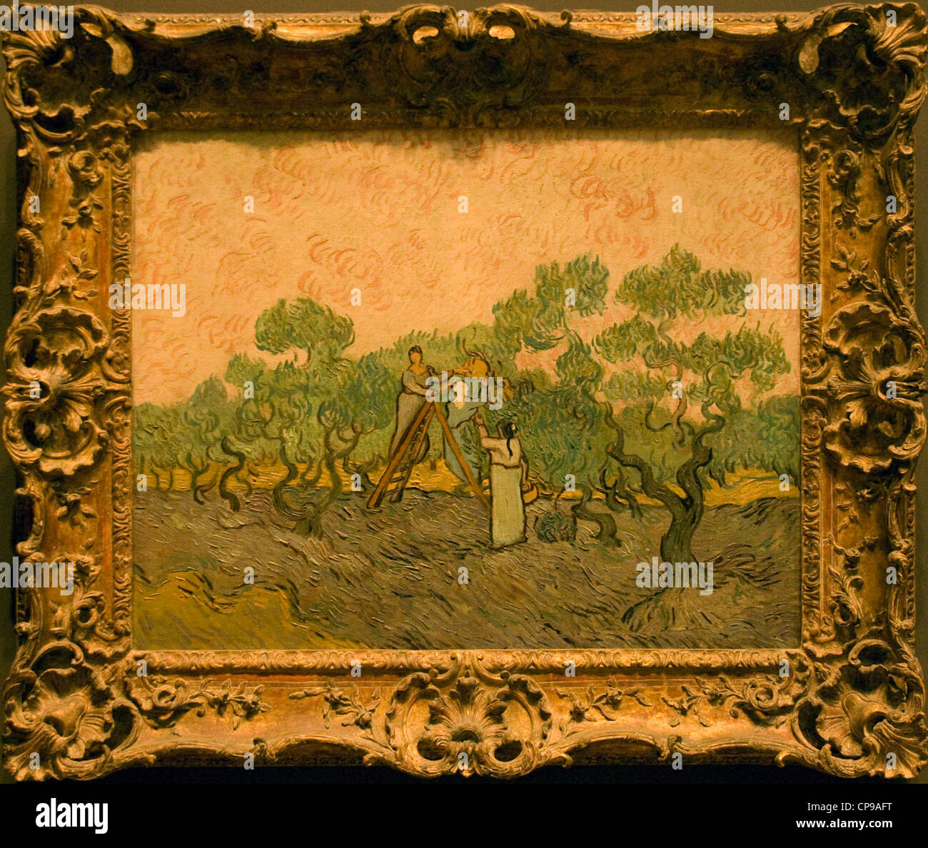 Van gogh women picking olives hi-res stock photography and images - Alamy