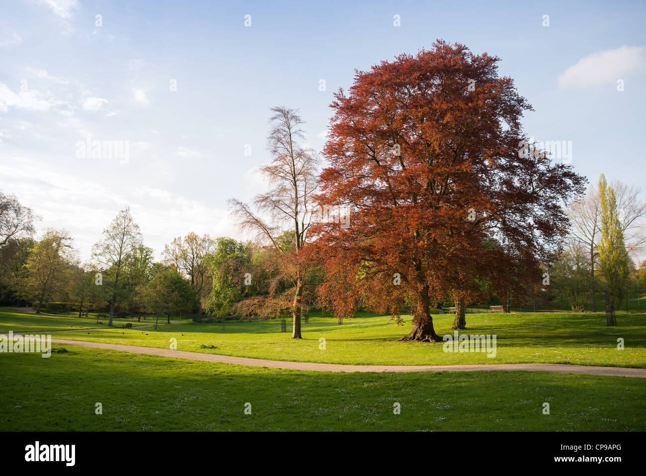 Christchurch park, Ipswich, UK Stock Photo - Alamy