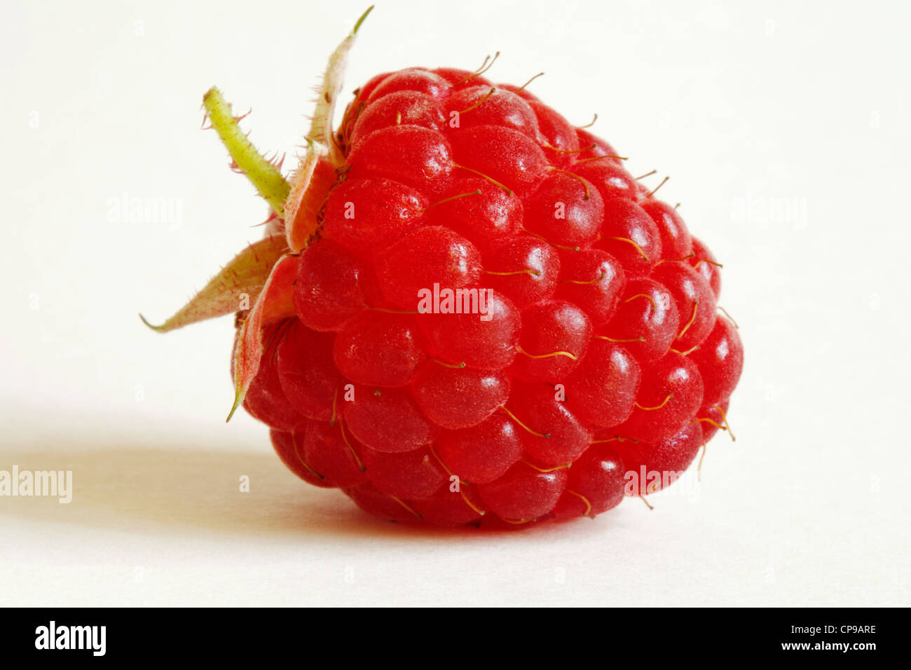 A close up of a fresh raspberry against a white background Stock Photo ...