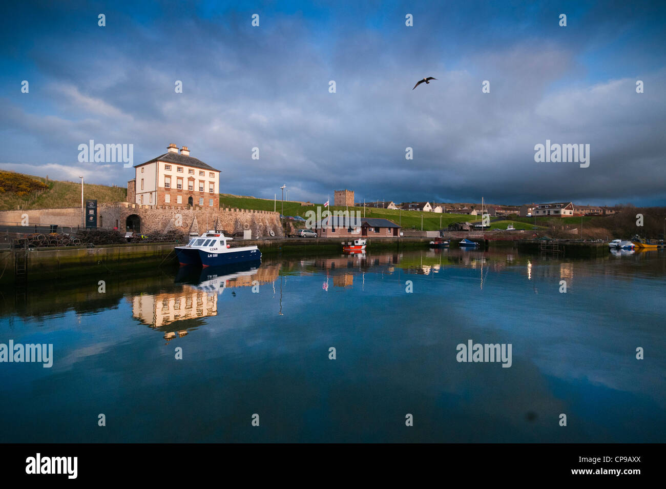 Nisbets tower hi-res stock photography and images - Alamy