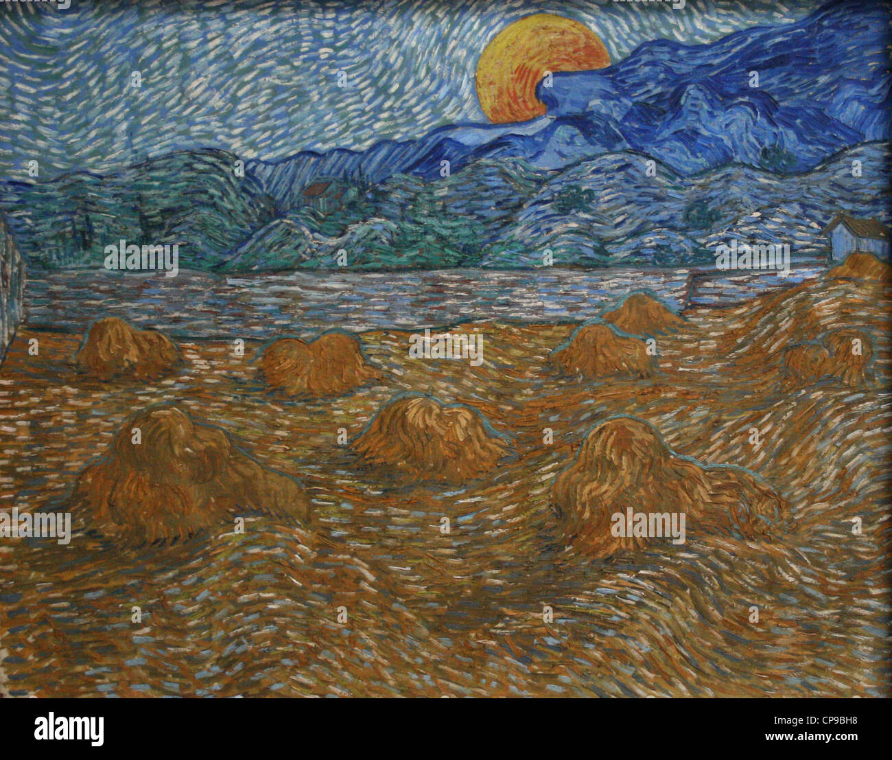 Vincent van Gogh Stock Photo - Alamy