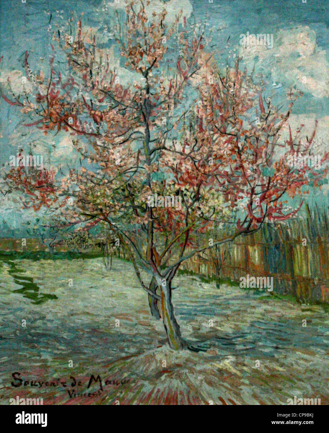 Pink peach trees van gogh hi-res stock photography and images - Alamy
