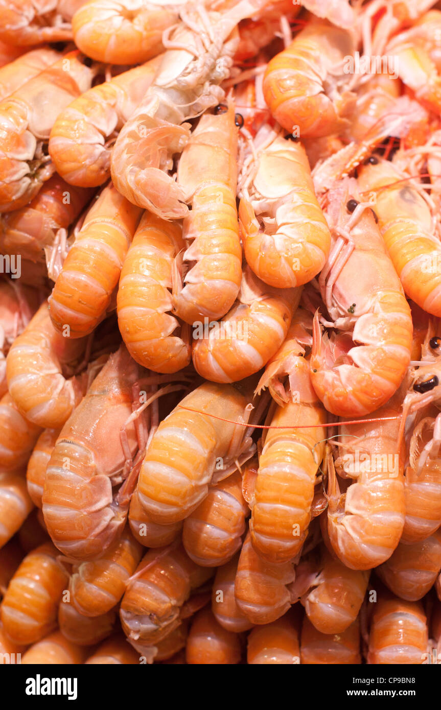 A pile of crayfish Stock Photo - Alamy