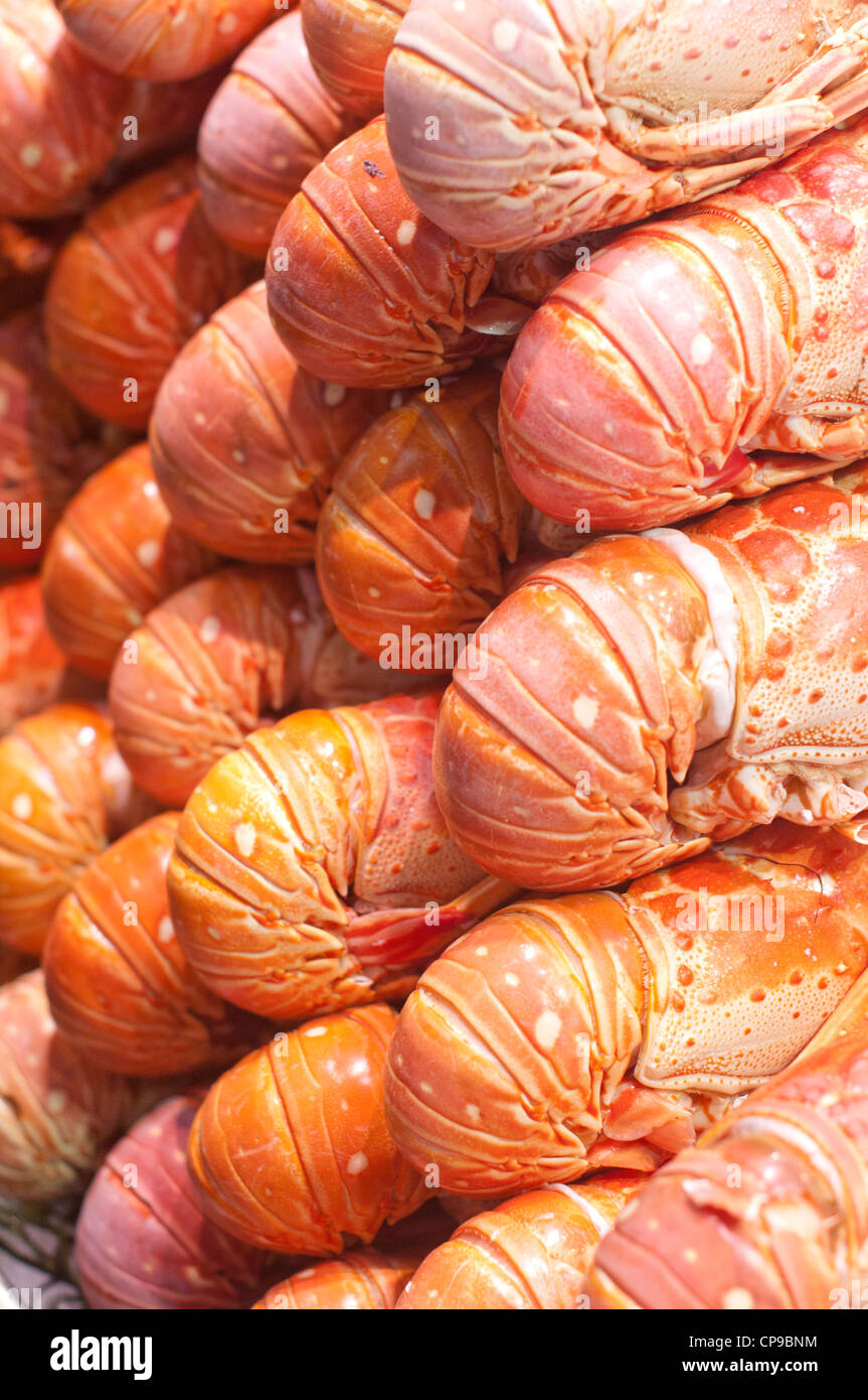 Tail tails hi-res stock photography and images - Alamy