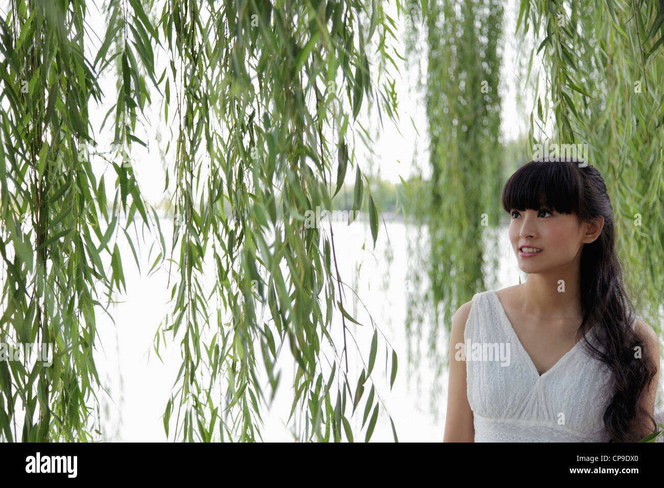 Young woman standing under a willow tree Stock Photo - Alamy