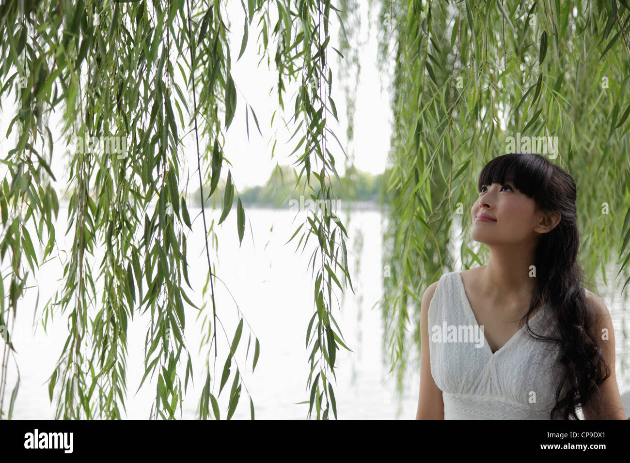 Young woman standing under a willow tree Stock Photo - Alamy