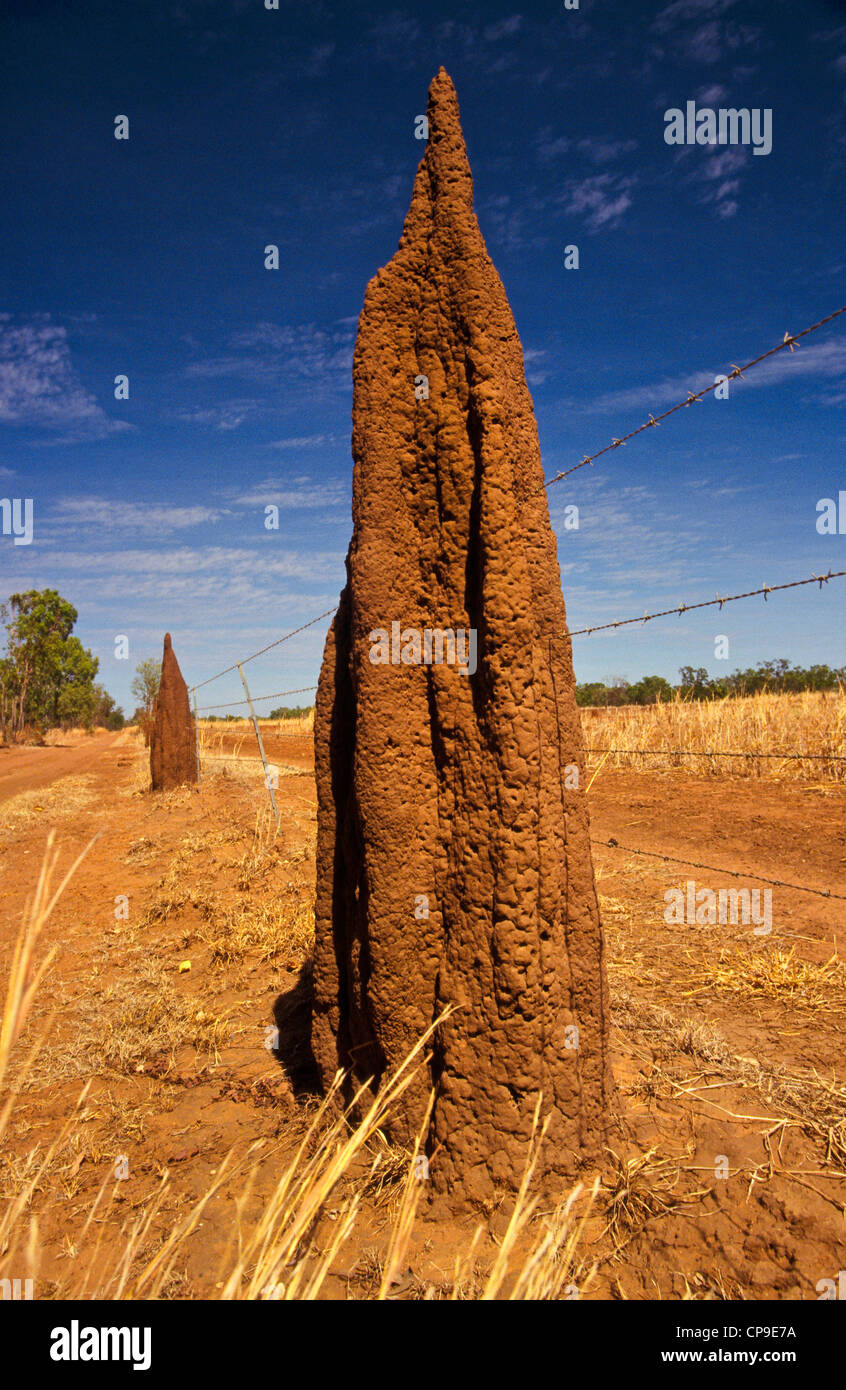 Termite tower hi-res stock photography and images - Alamy