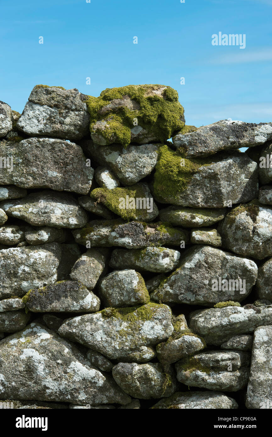 Devon dry stone walls hi-res stock photography and images - Alamy