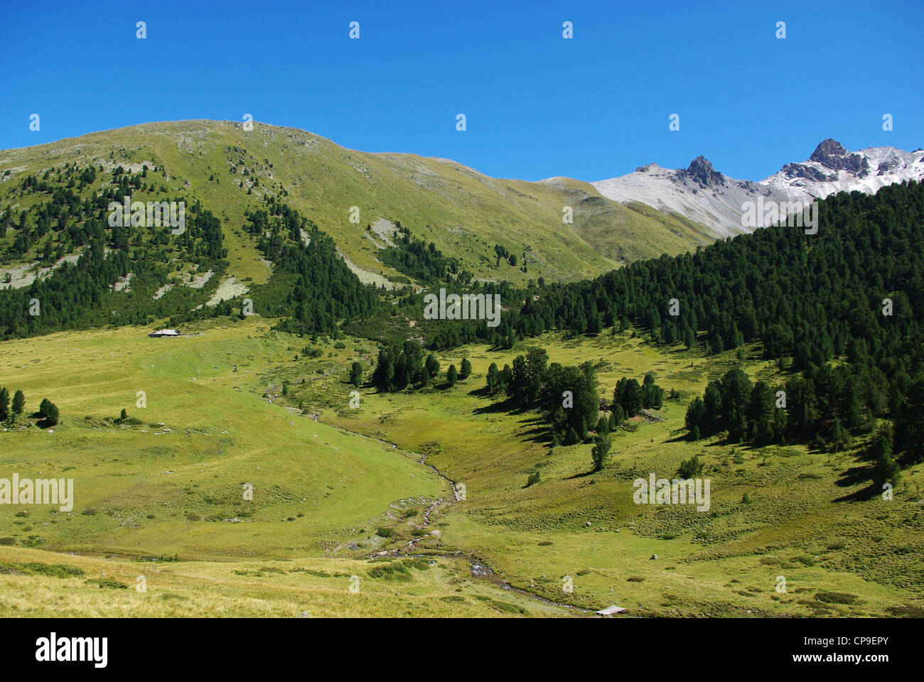 Sesvenna hi-res stock photography and images - Alamy