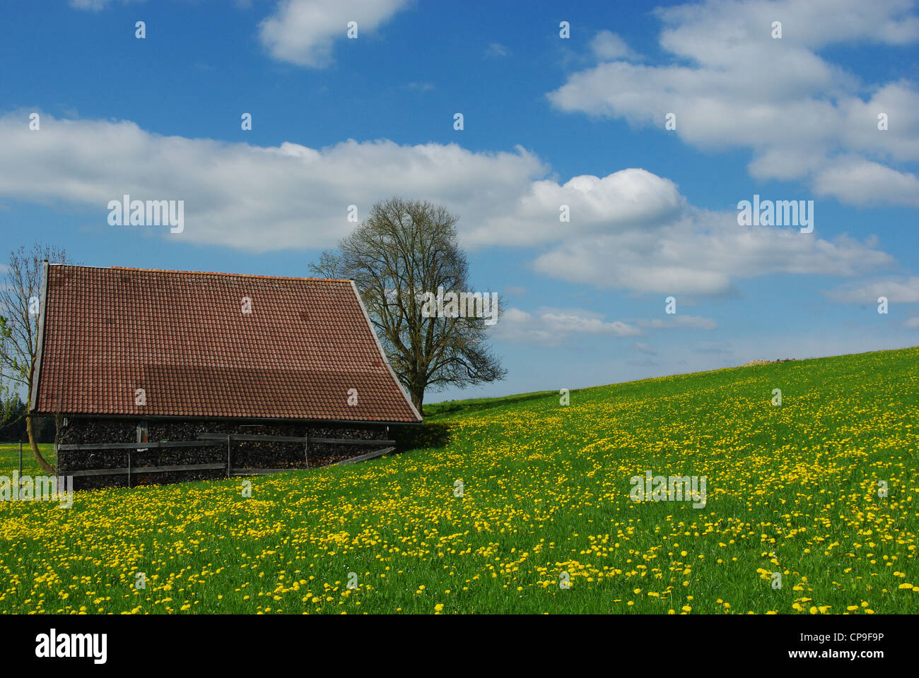 Colours of bavaria hi-res stock photography and images - Alamy