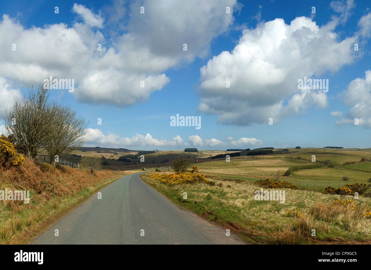Narrow country road, Mynydd Epynt, Wales UK Stock Photo - Alamy