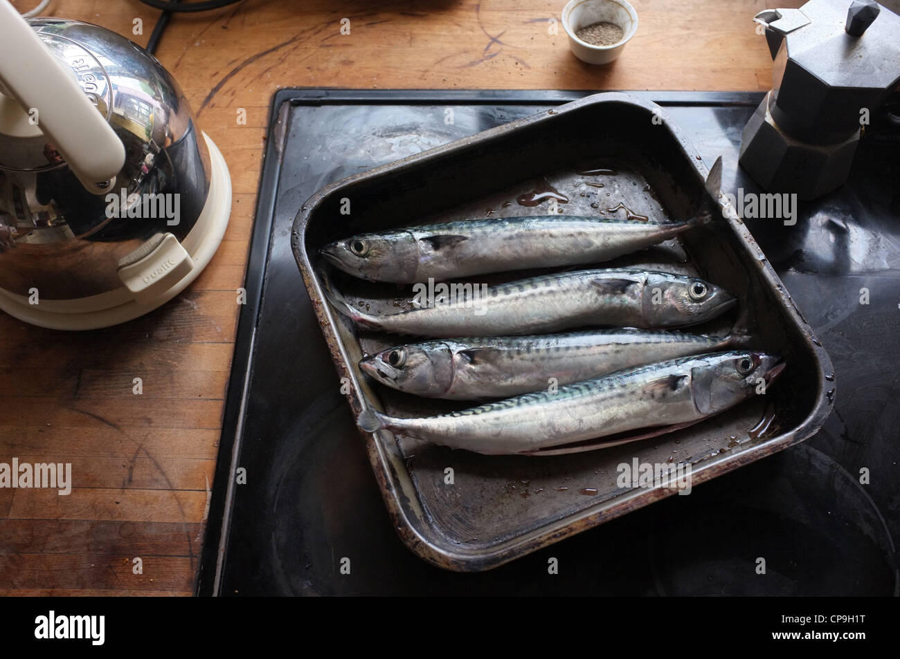 Freshly caught and gutted Cornish Mackerel ready for cooking Stock ...