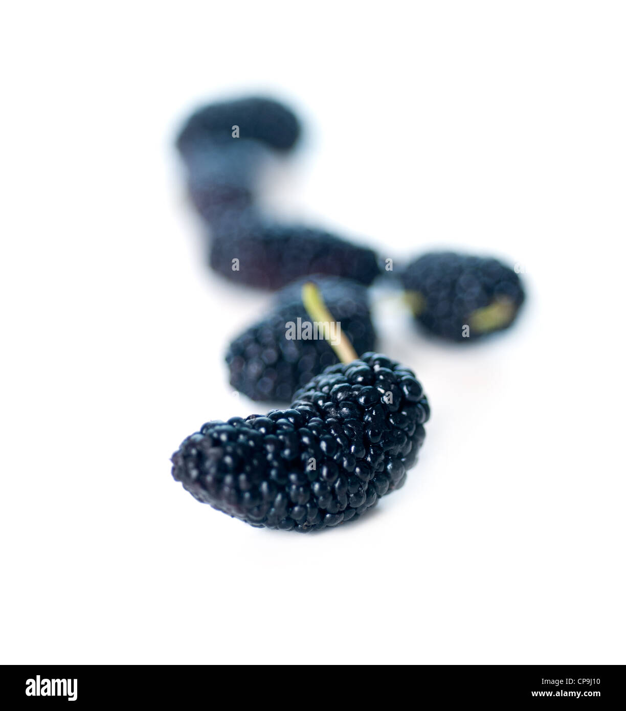 Black mulberry fruit Cut Out Stock Images & Pictures - Alamy