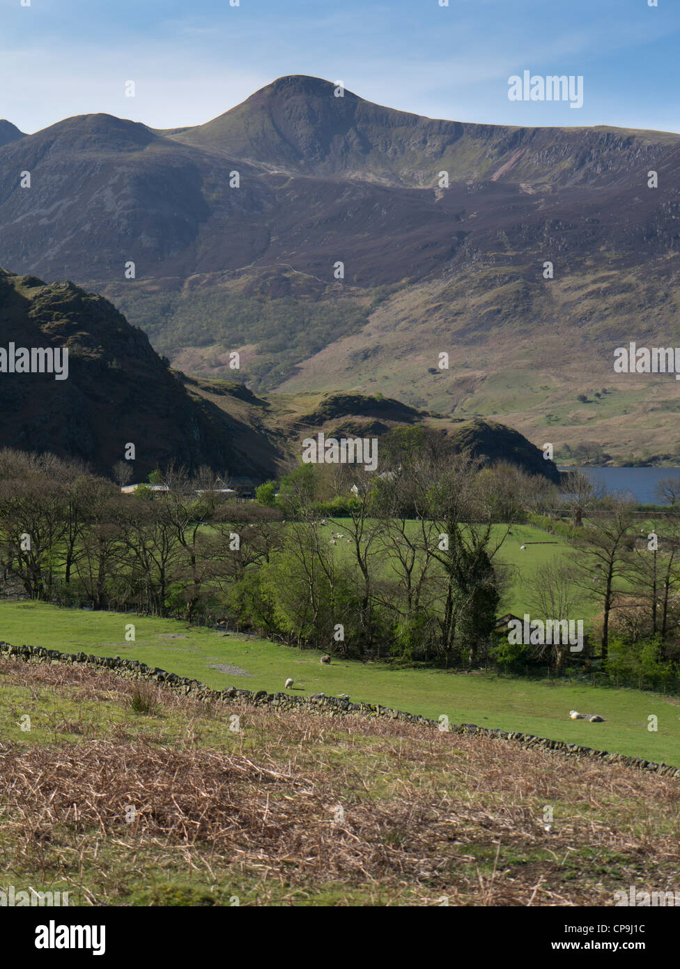 Red Pike Buttermere High Resolution Stock Photography and Images - Alamy