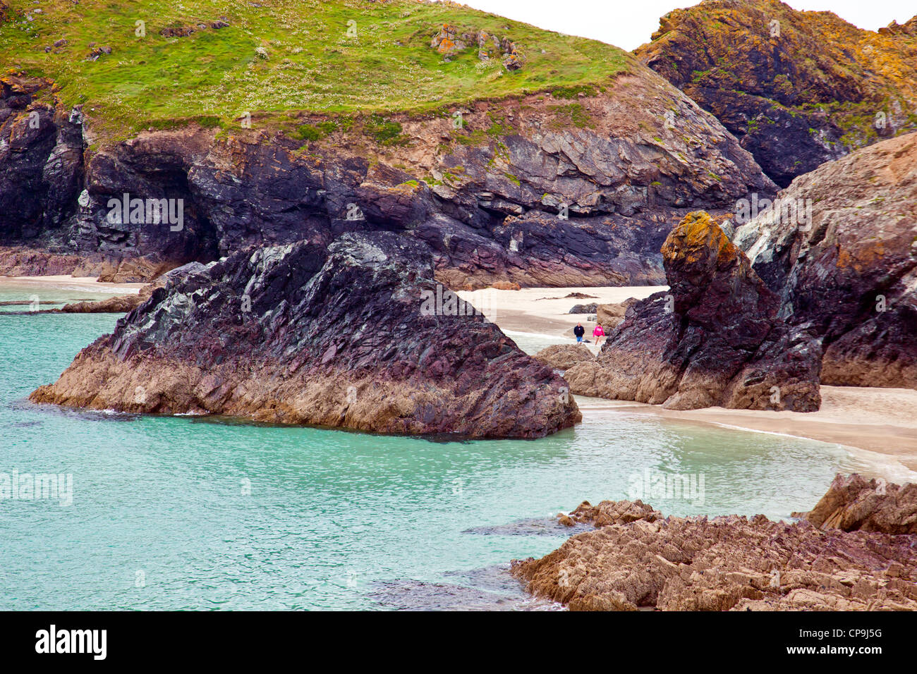 Kynance Cove on the Lizard Peninsula, Cornwall, England UK Stock Photo ...