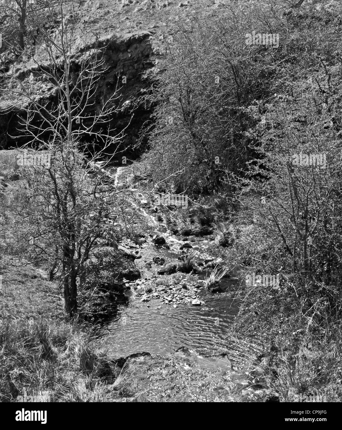 Langcliffe Cross Bridge, Slaidburn, Lancashire is the suspected murder ...