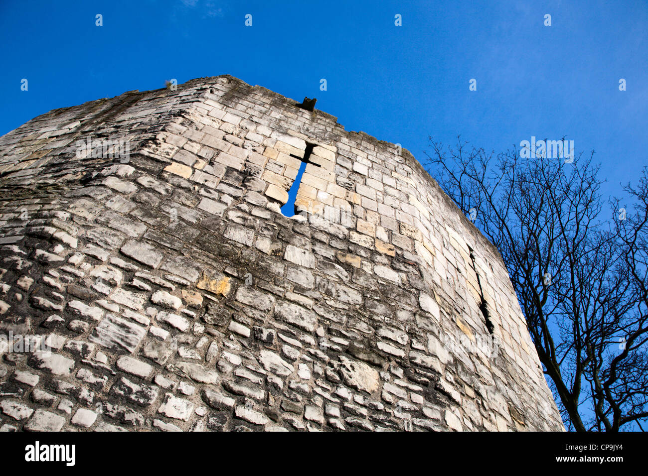 The Multangular Tower in Museum Gardens York Yorkshire England Stock ...