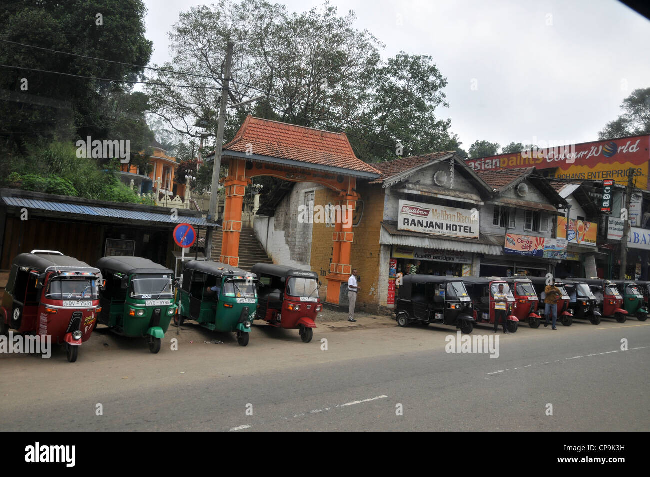 Pussellawa, Kandy District, Sri Lanka Stock Photo - Alamy