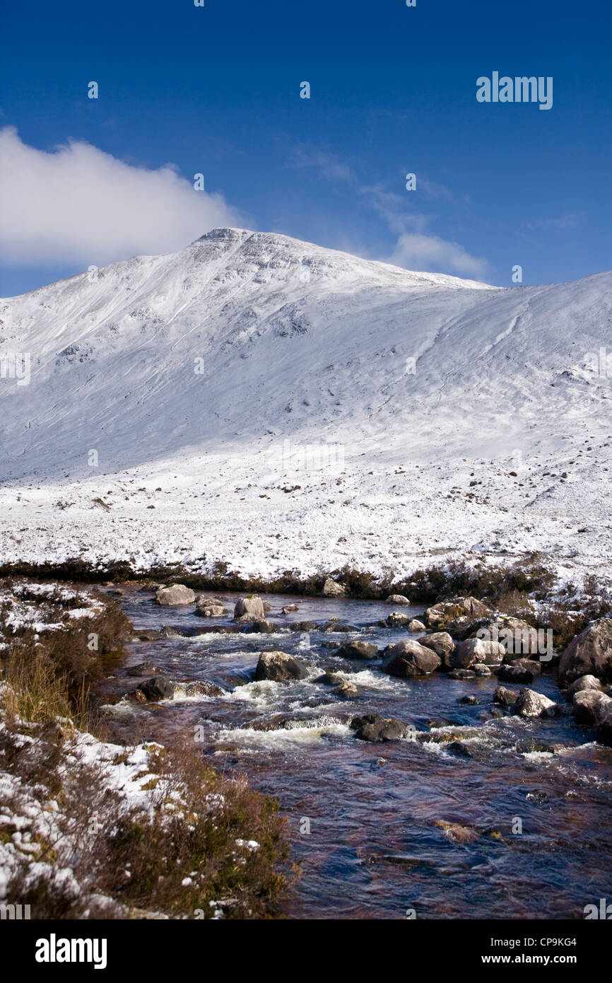 Fionn hi-res stock photography and images - Alamy