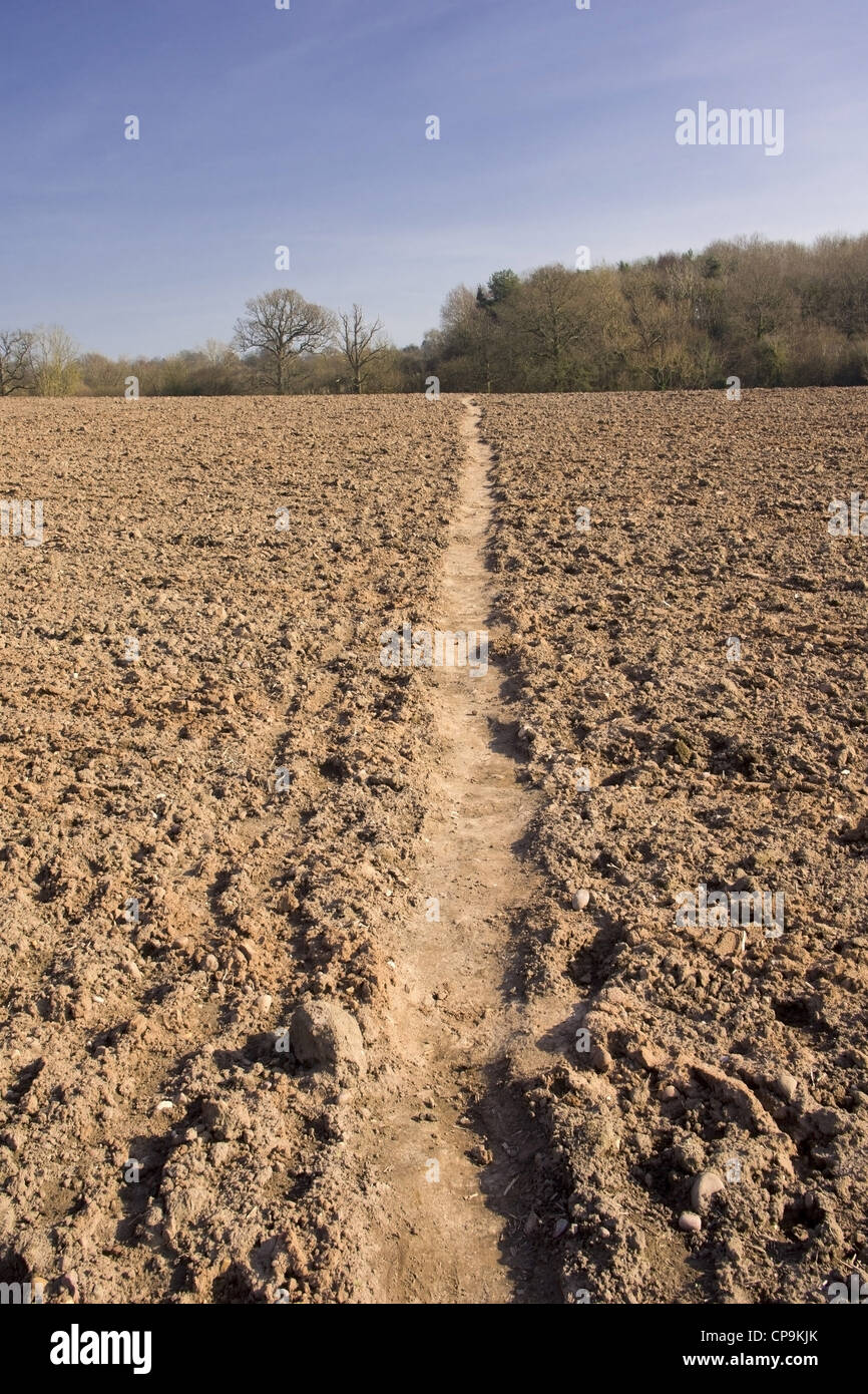 a field with earth and soil on a farm in the countryside Stock Photo ...