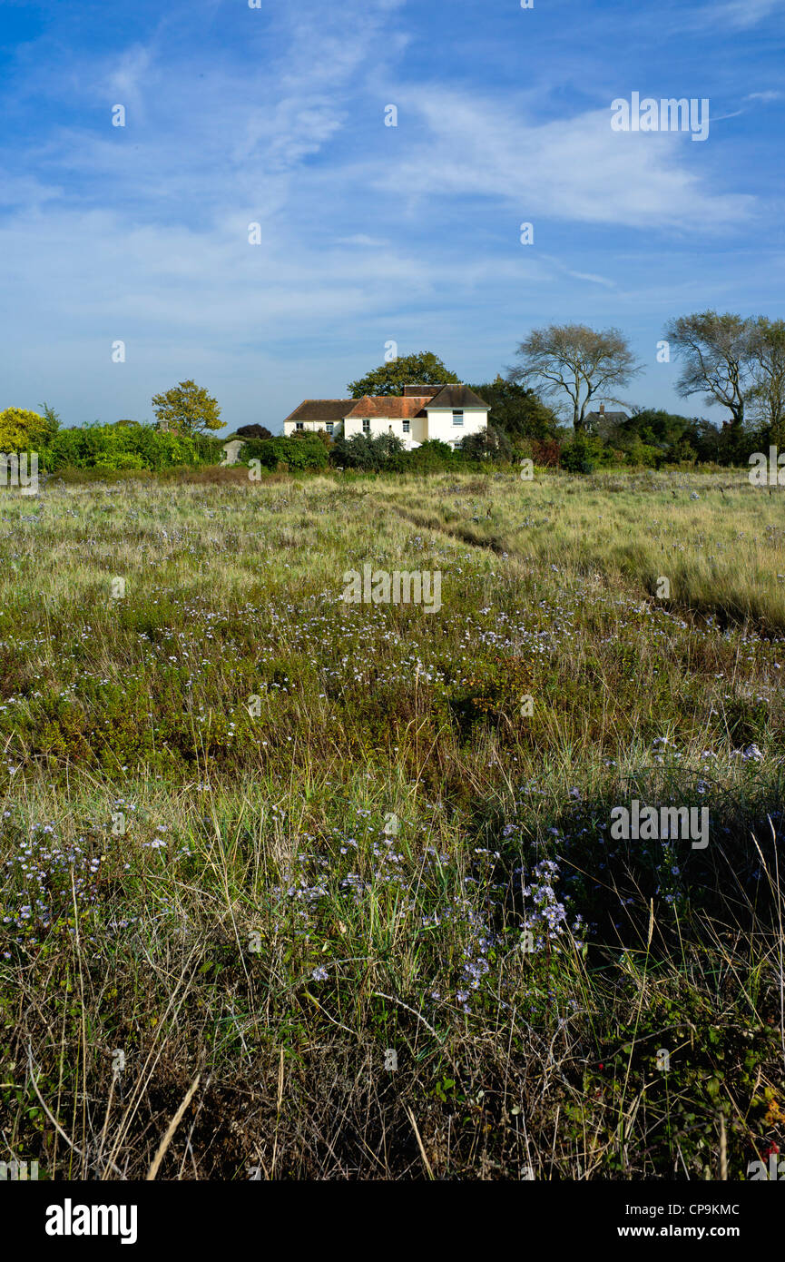view viewpoint solent way solent way sea ocean long distance coast ...