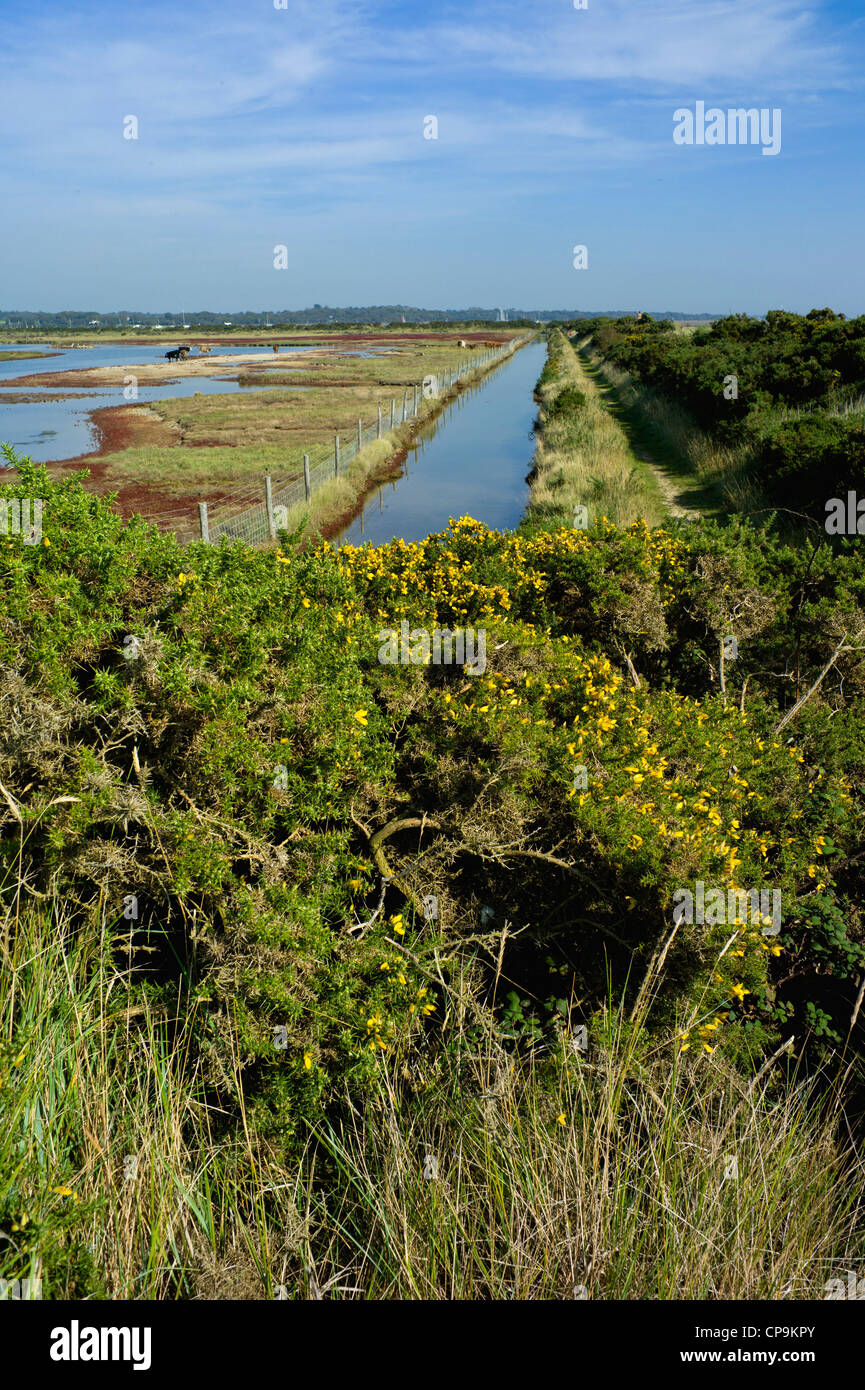 solent way solent way sea ocean long distance coast coastline coastal ...