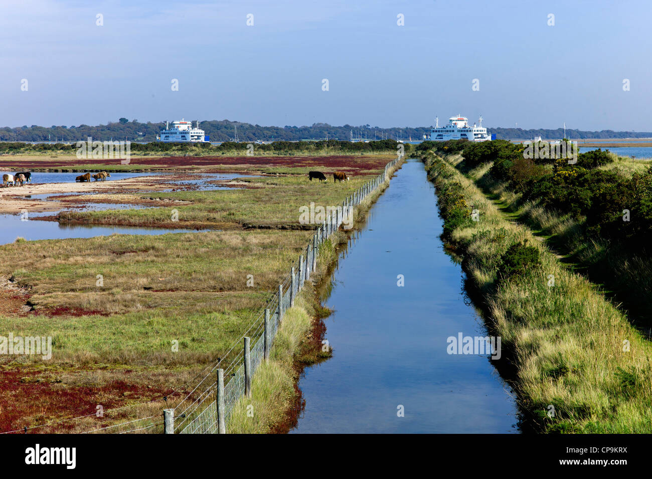 solent way solent way sea ocean long distance coast coastline coastal ...
