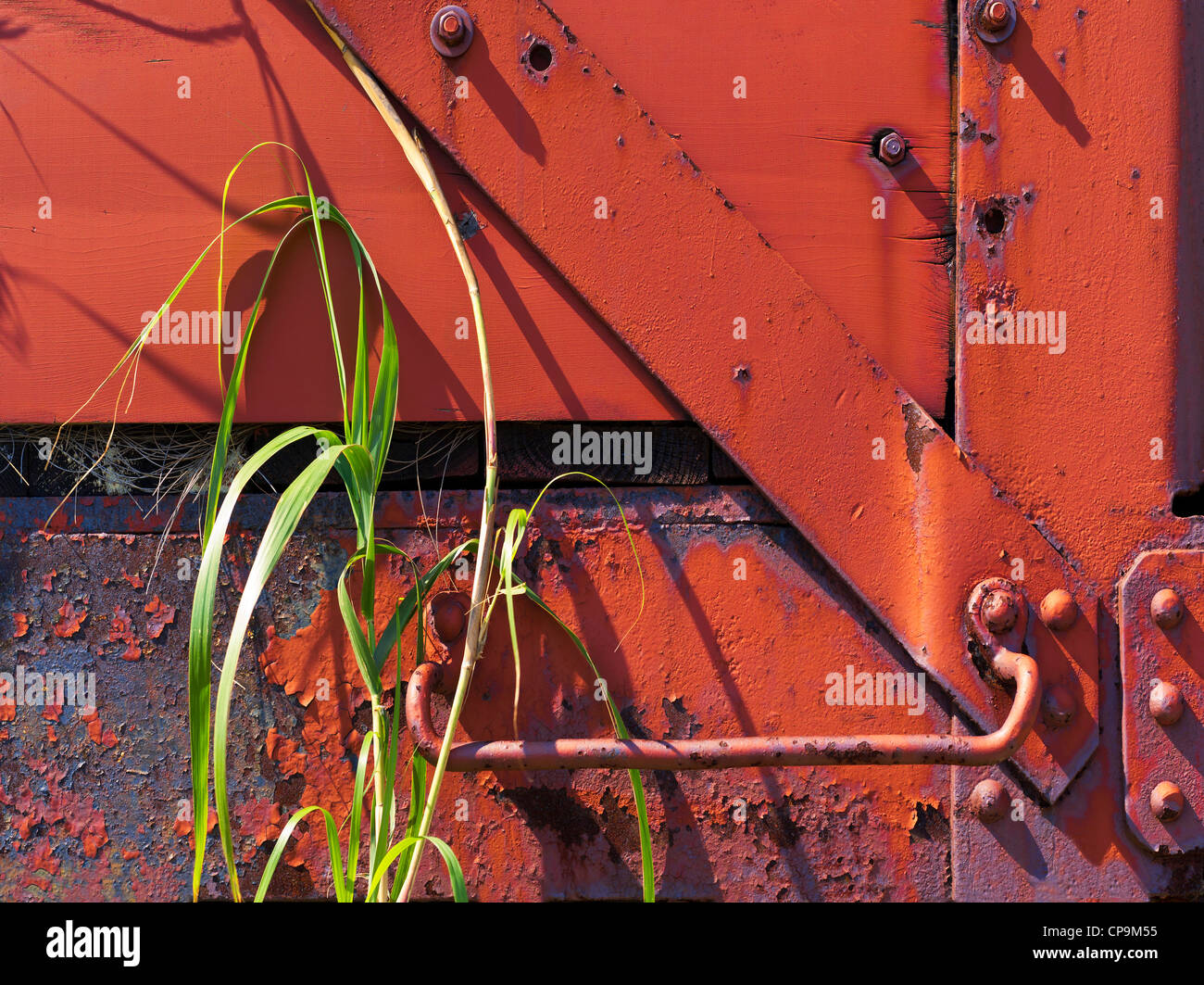 Gold coast railroad museum miami hi-res stock photography and images ...