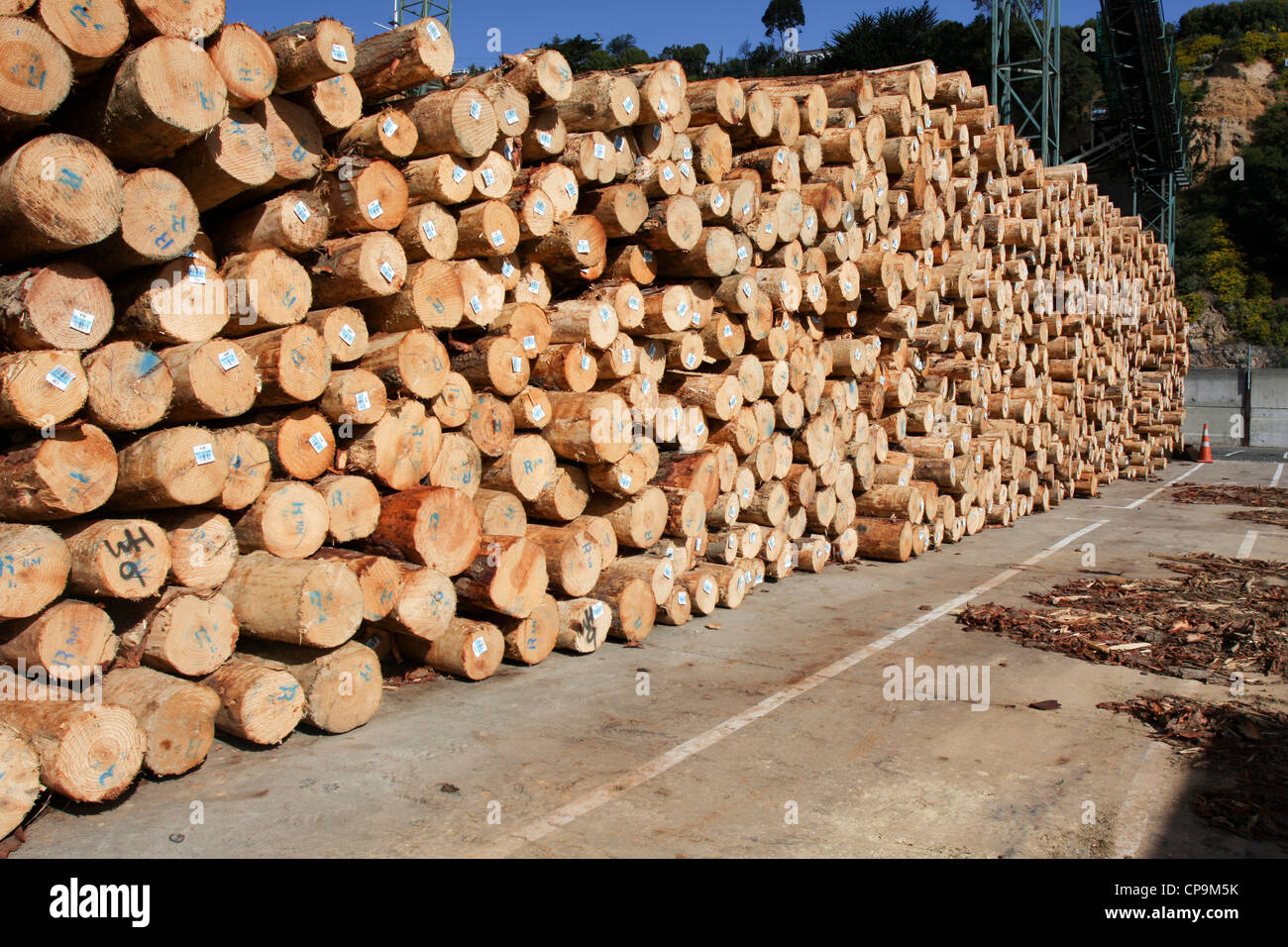 Nz timber export hi-res stock photography and images - Alamy