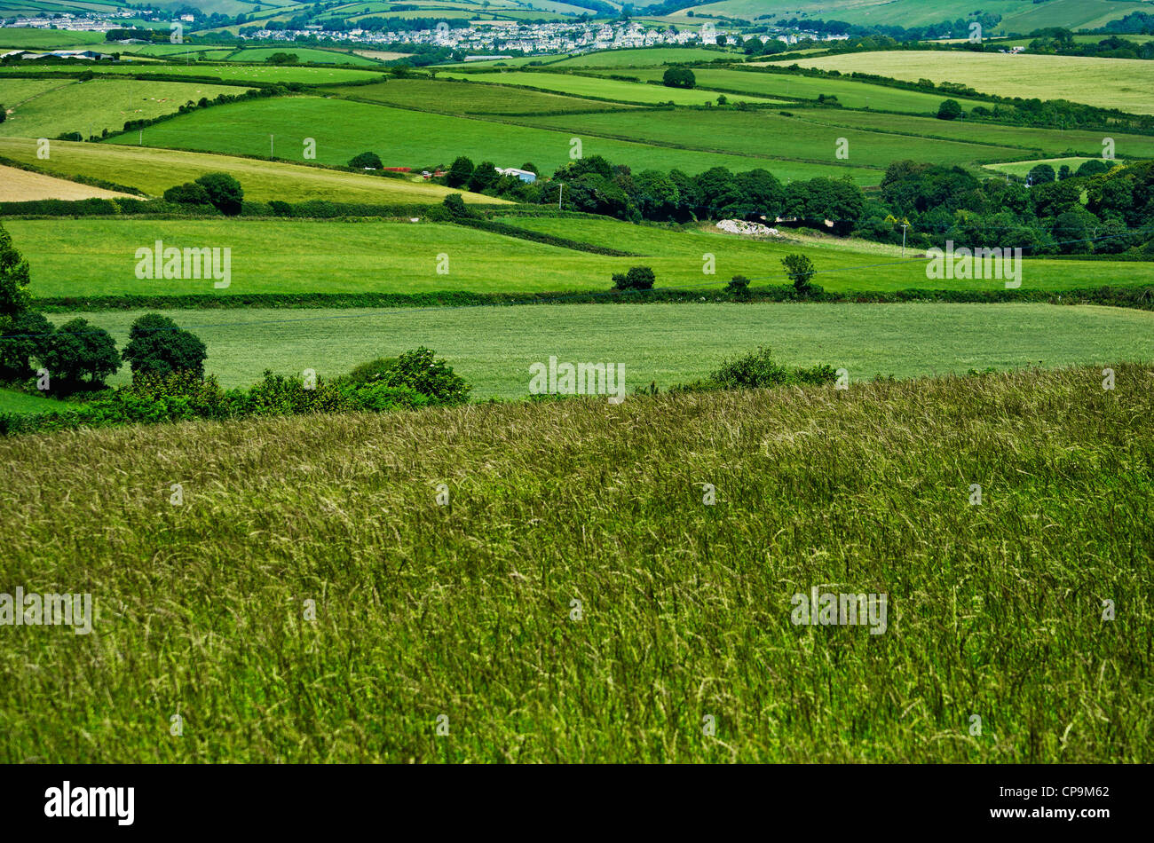 South hams countryside hi-res stock photography and images - Alamy