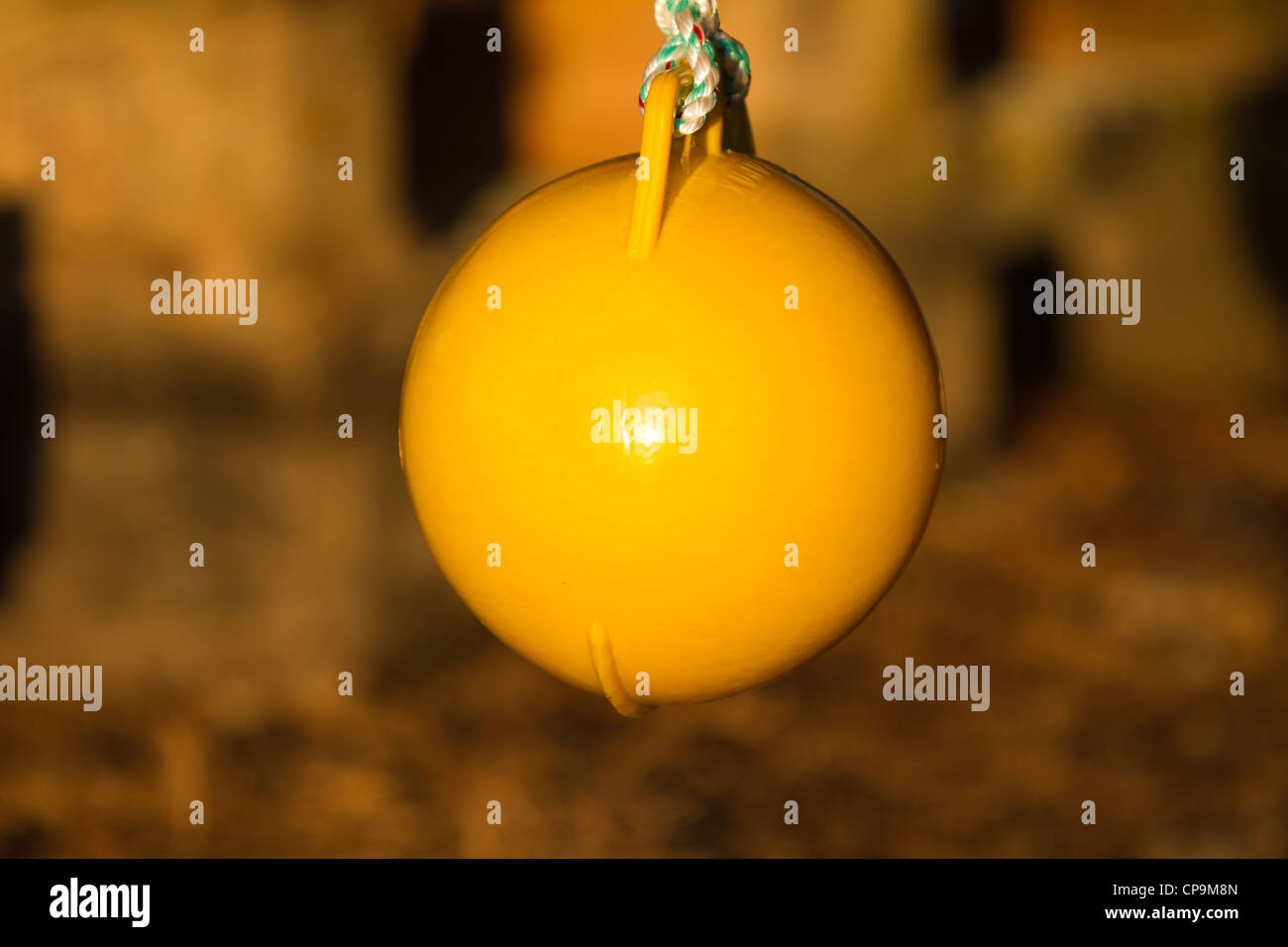 Single yellow buoy Stock Photo - Alamy