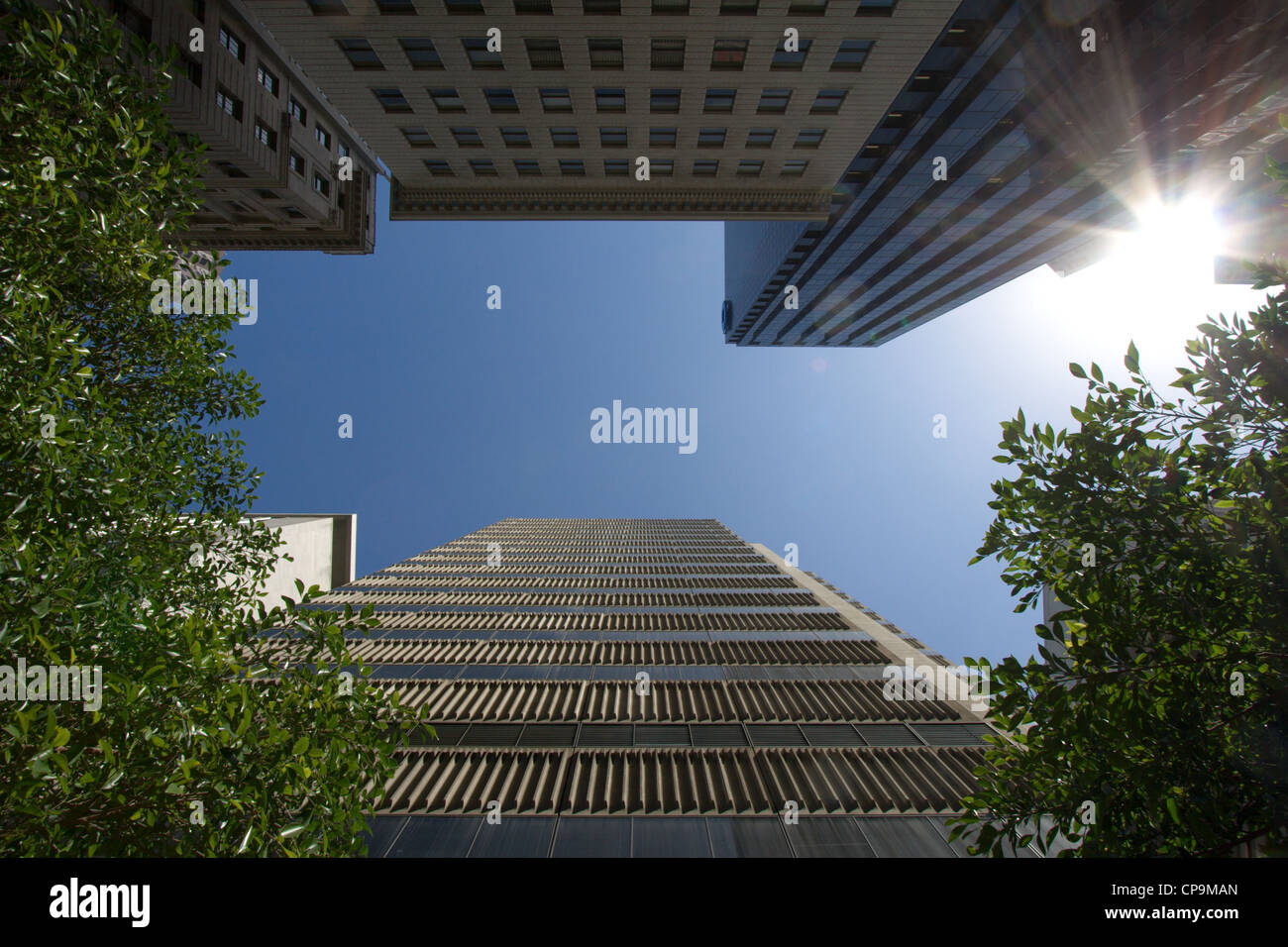 Cityscape of trees between towers Stock Photo - Alamy