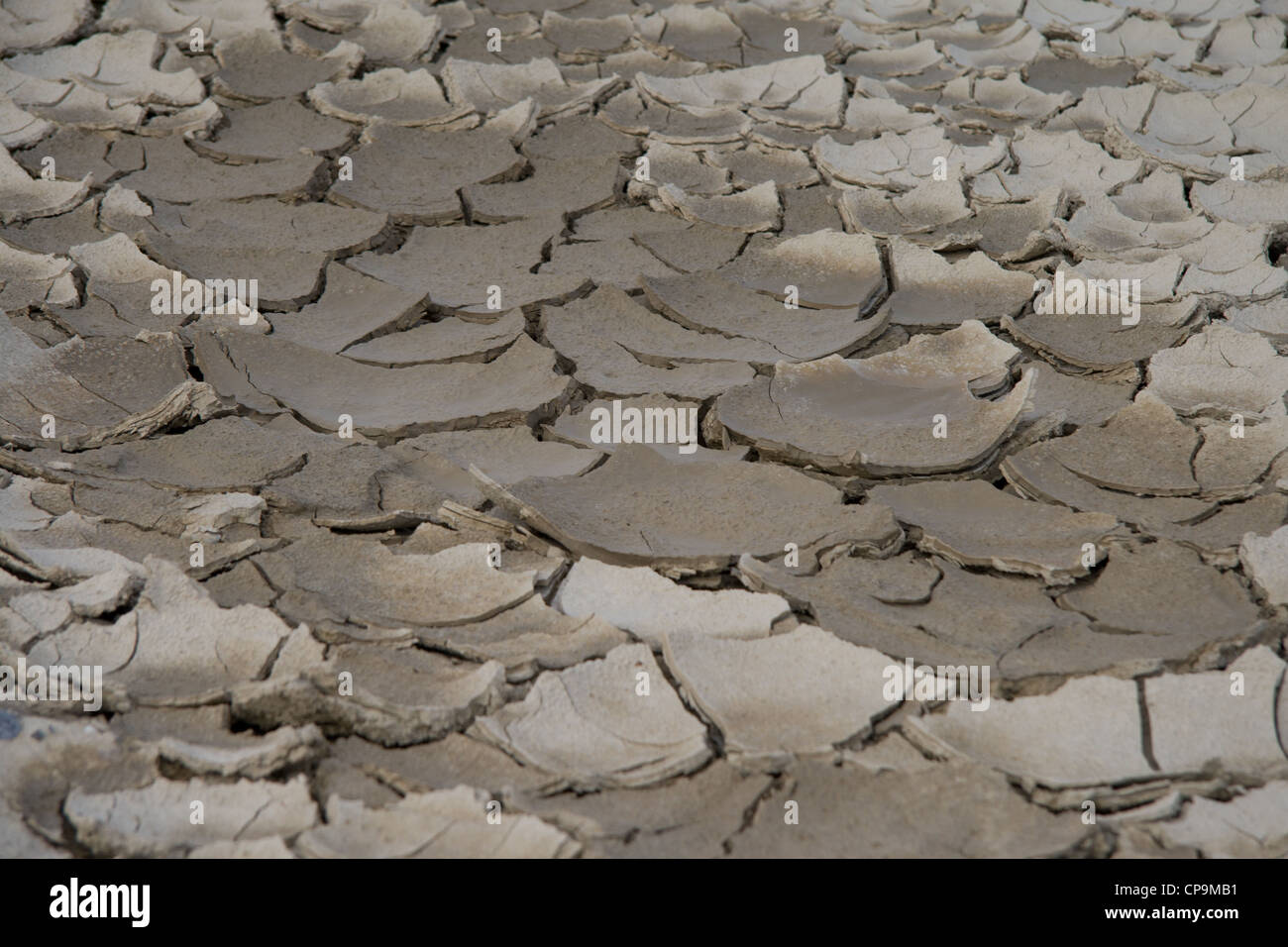 Dried up riverbed after the long summer Stock Photo - Alamy